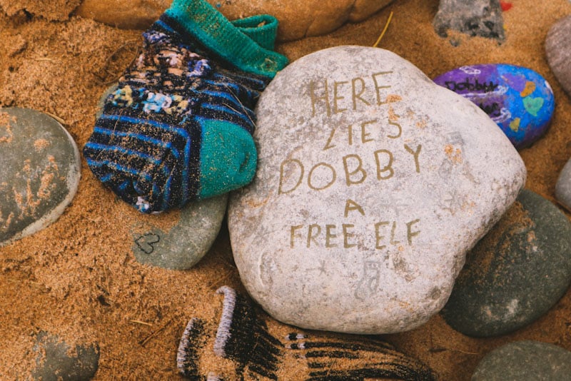 How To Visit Dobby’s Grave [Is It Still There in 2024?]